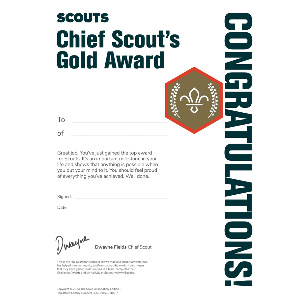 Scouts Chief Scout Award (Gold) Certificates (Pack of 10) – Basingstoke ...