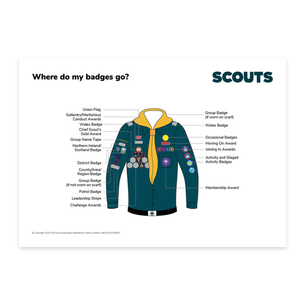 Uniform Badge Placement Diagram/Poster (Scouts) – Basingstoke Scout Shop